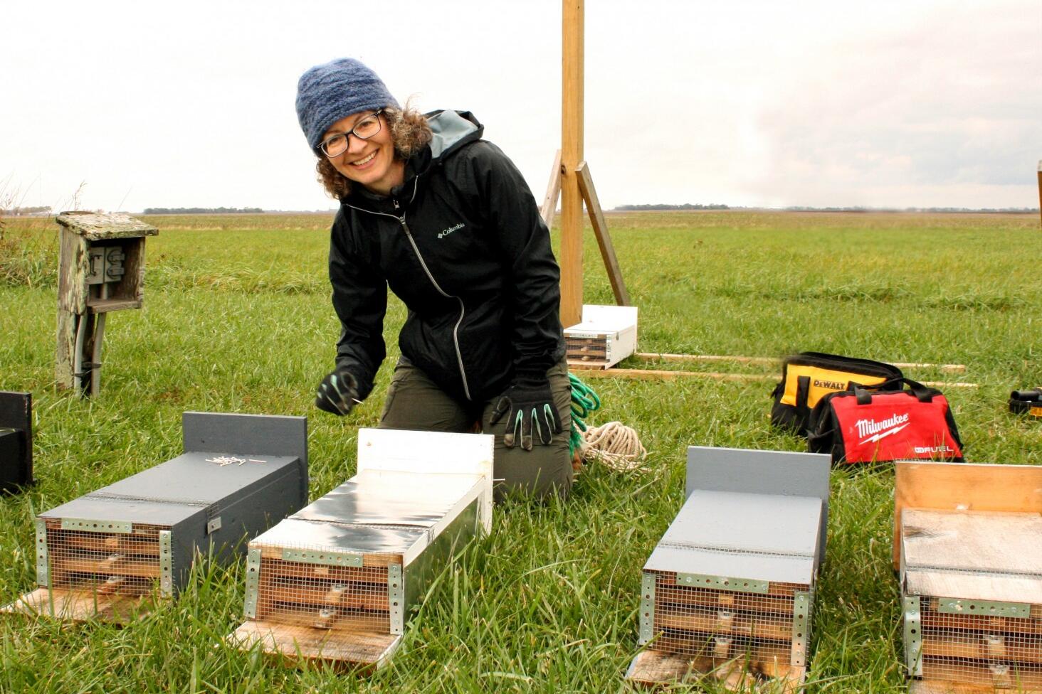 Building a better bat box: Temperature variation in rocket box designs ...